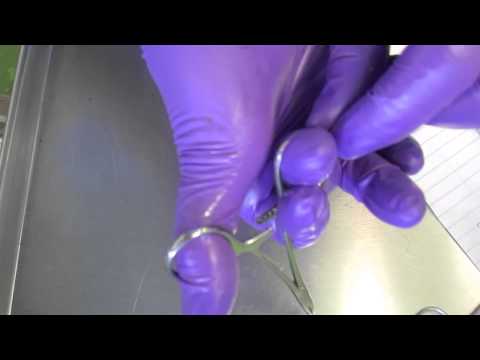 hemostats