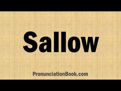 How to Pronounce Sallow