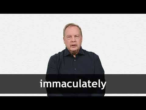 IMMACULATELY definition and meaning | Collins English Dictionary