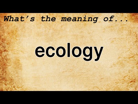 Ecology Meaning : Definition of Ecology