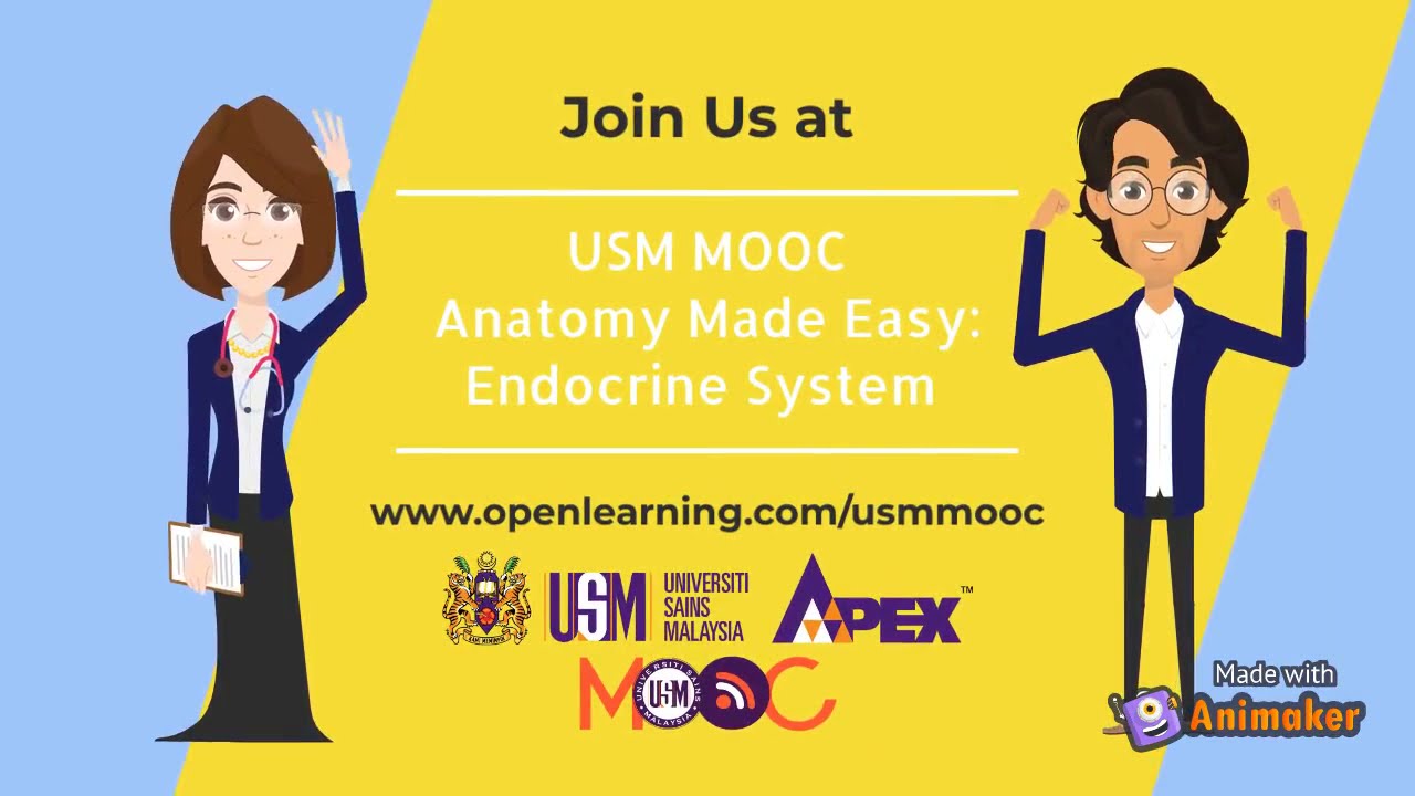 ANATOMY MADE EASY: ENDOCRINE SYSTEM | USM MOOC