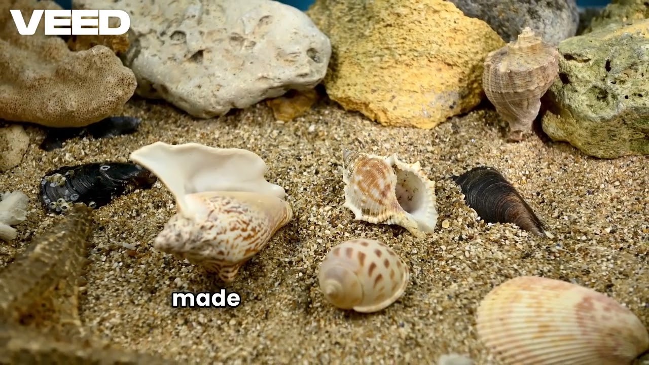 Limestone Explained: Formation, Uses & Earth Science Facts