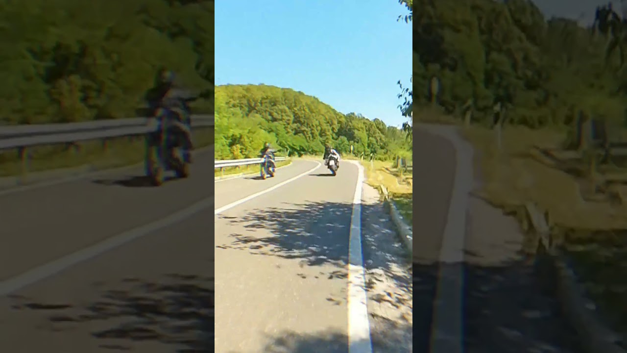 Always respect the codex ✌️