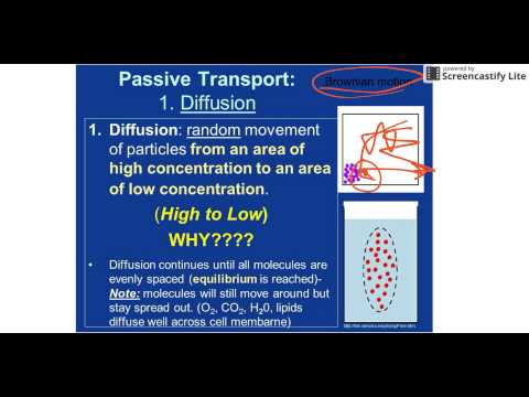 Types of Membrane Transport