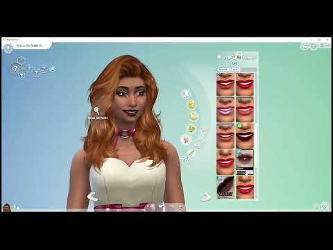 Creating a SIm for my town!
