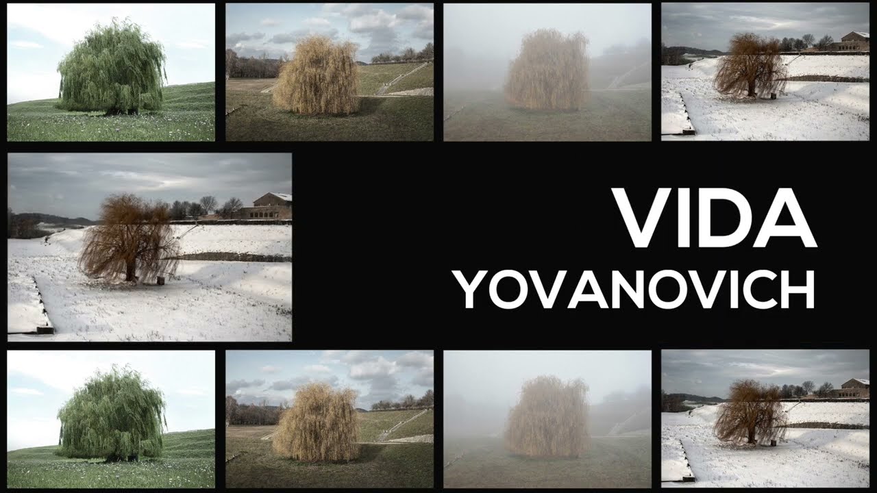 Vida Yovanovich, Medalla al Mérito Fotográfico 2022