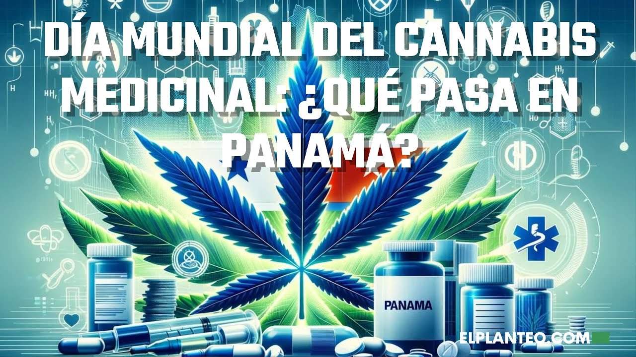 DÍA MUNDIAL del CANNABIS MEDICINAL: el caso PANAMÁ