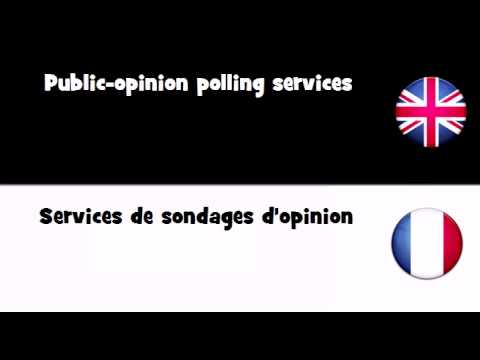APPRENDRE L'ANGLAIS = Services de sondages d'opinion