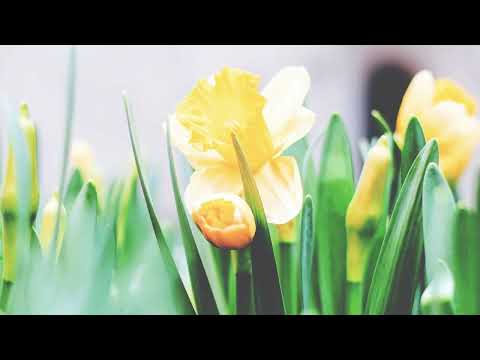The History Of Easter