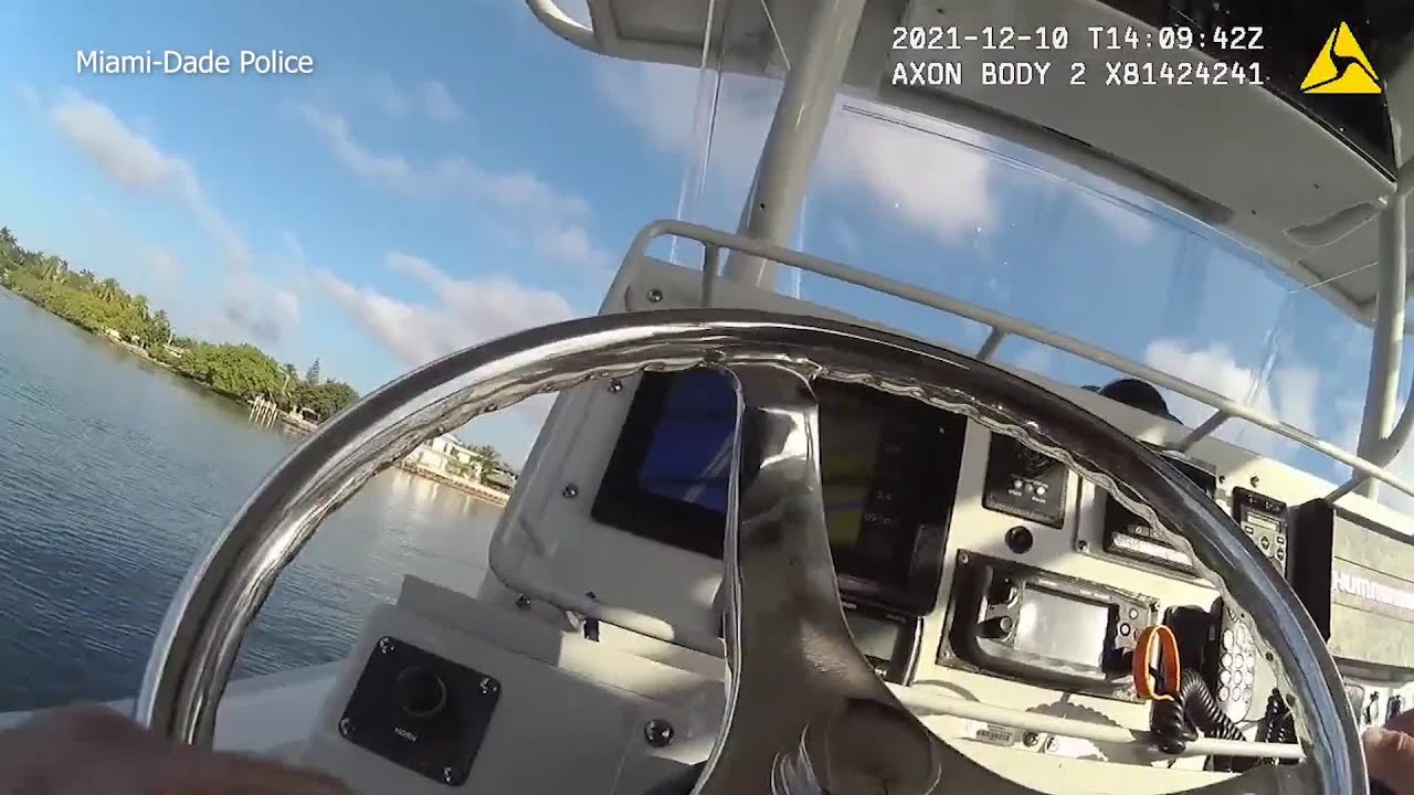 Dolphin rescue caught on camera by Miami Dade police officer