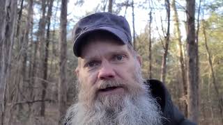 Missing: Hobo Shoestring - Fimfiction