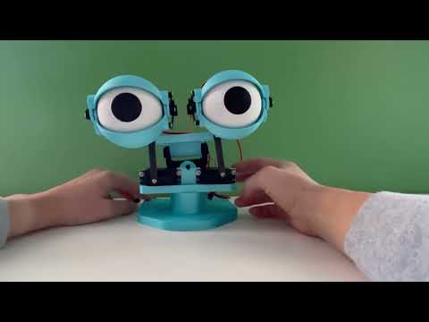 Robotic eyes Instructions