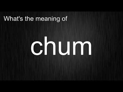 What's the meaning of "chum", How to pronounce chum?