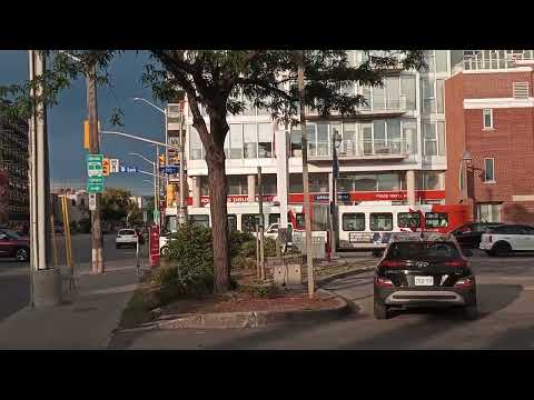 OC Transpo 2008 New Flyer Industries D60LF #6383 | 6 Rockcliffe film on 8/15/2022