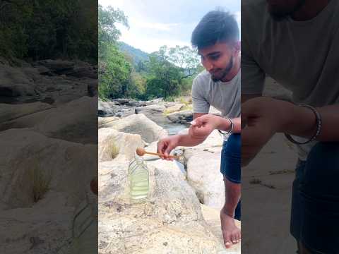 Music with the beauty of the environment