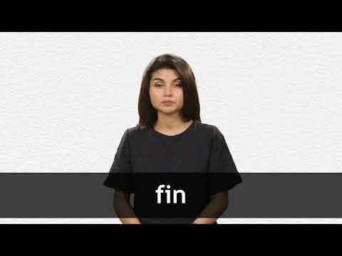 How to pronounce FIN in American English