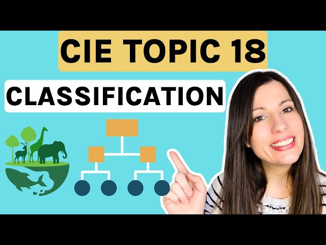 Understanding Classification, Biodiversity, and Conservation: A ...