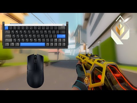 RAZER Viper v3 PRO "zekken's mouse"