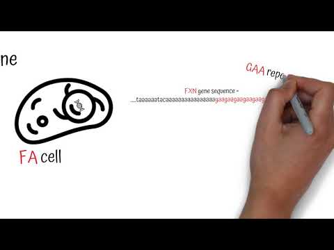 Episode 4: FXN Gene Silencing