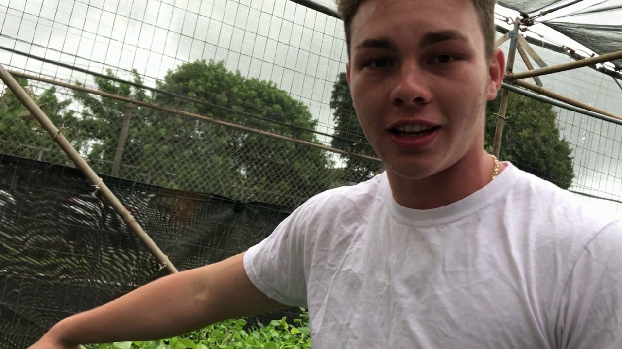 Leilehua Agriculture Program