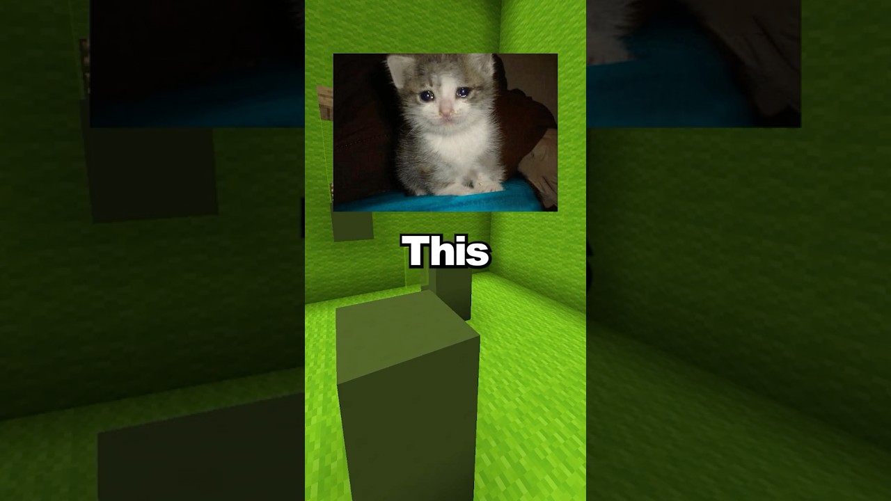 These Crying Cat Memes Share 1 Origin...
