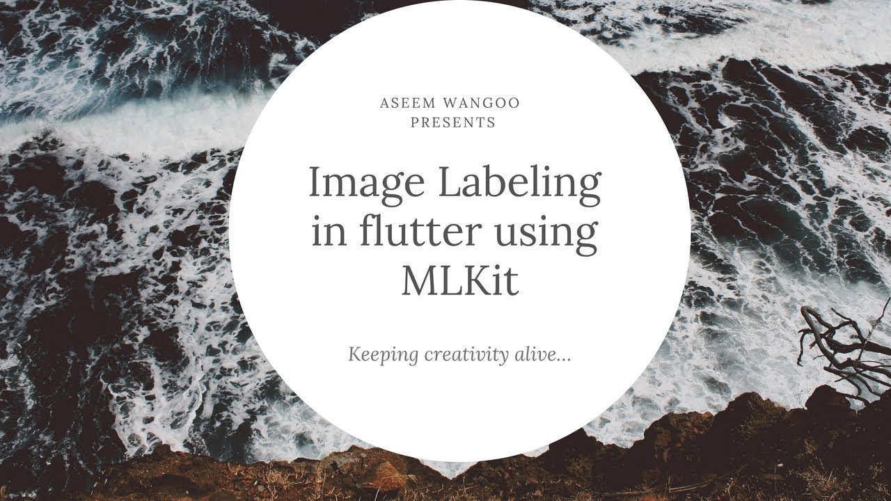 Image Labeling in Flutter using MLKit | MLKit in Flutter | Using MLKit in Flutter @aseemwangoo#ml