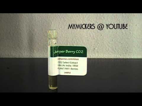 WHAT DOES JUNIPER BERRY OIL SMELL LIKE