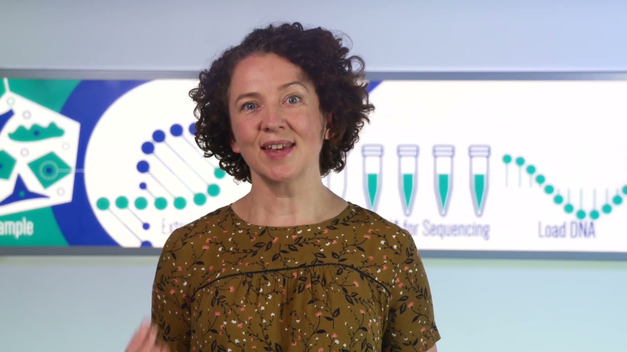 Understanding Immunotherapy