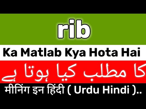 Rib Meaning | Rib Meaning In Urdu Hindi | Rib Ka Matlab Kya Hai | Rib Ka Meaning Kya Hai