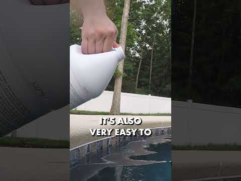 Safe to Use BLEACH in My POOL? 👷