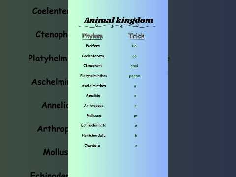Animal kingdom’s phylum tricks to learn 🔥 #biologyclass #neet2024 #biologylecture
