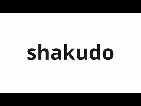 How to pronounce shakudo | 尺度 (Scale in Japanese)
