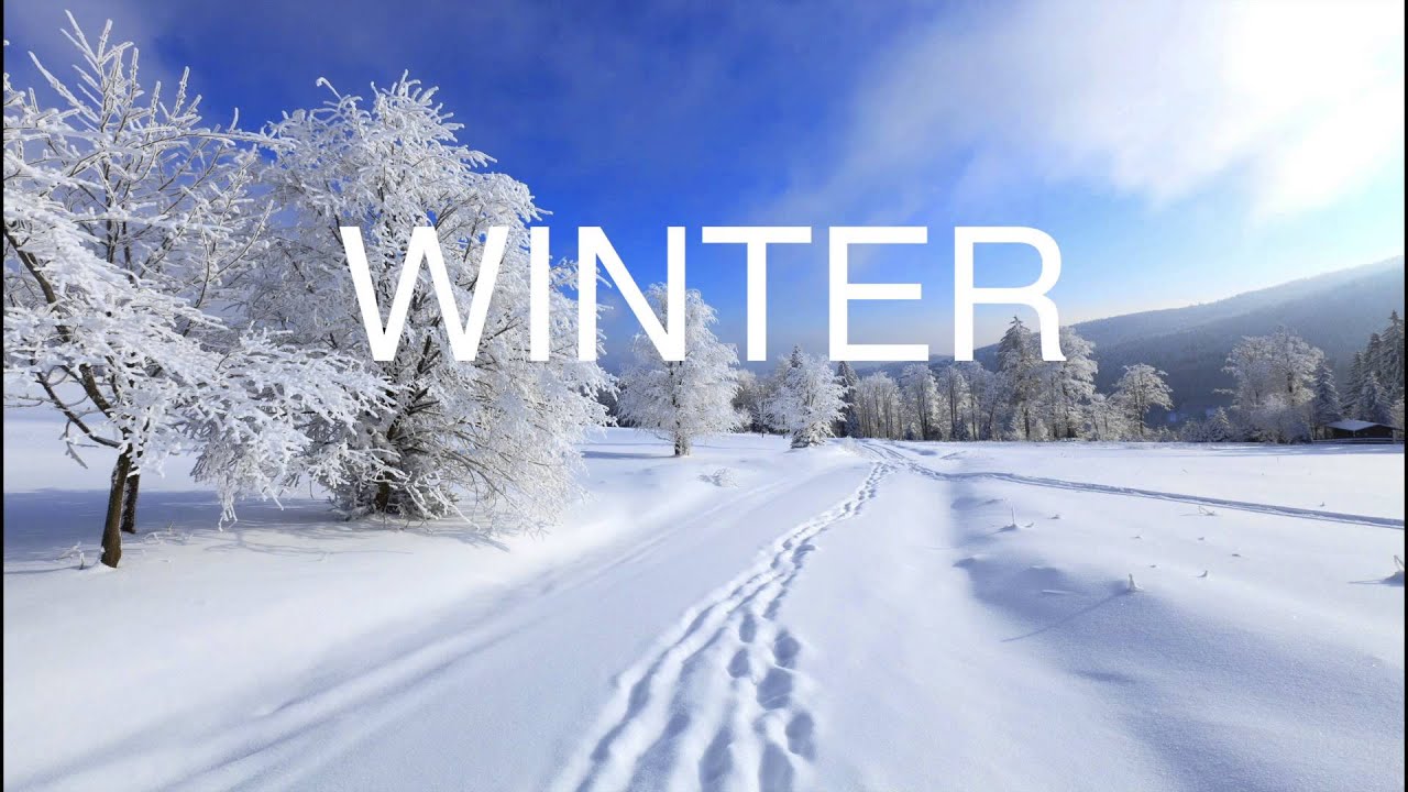 German Class 101: The 4 Seasons