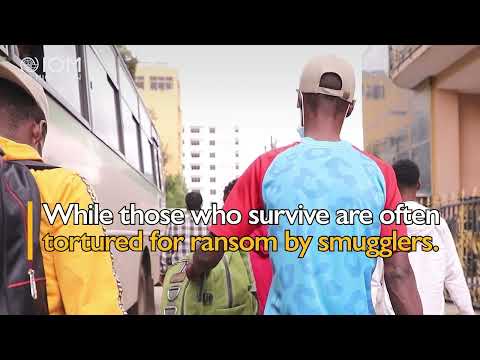 IOM Migration Response Centres: Saving Migrants at Border Crossings