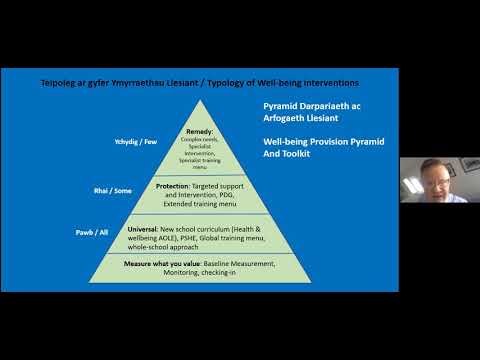 Wellbeing in Wales: From strategy to action – health and wellbeing provision in Carmarthenshire