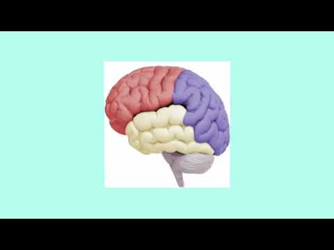guess the word game | guessing game | test your brain