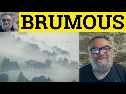 🔵Brumous Meaning - Define Brume - Brumous Examples Brumous Definition Literary English Brume Brumous