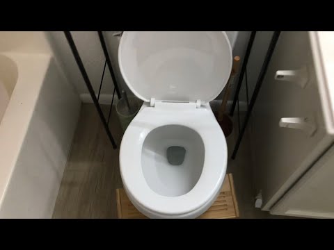2023 Project Source Pro Flush
