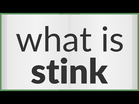 Stink | meaning of Stink