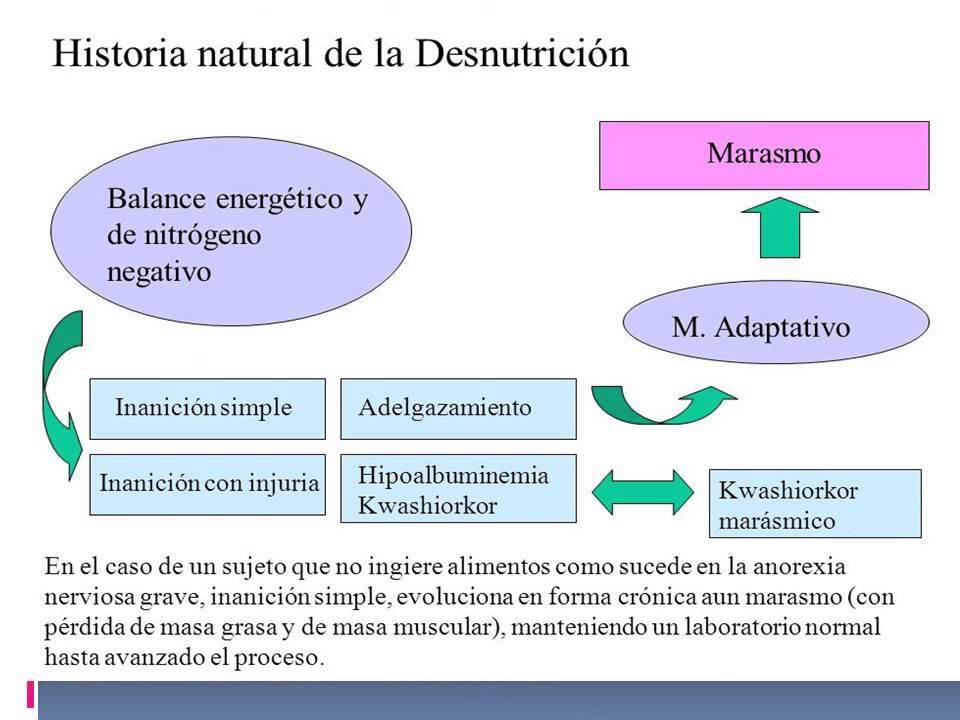 Desnutrición (DIAPOSITIVAS)