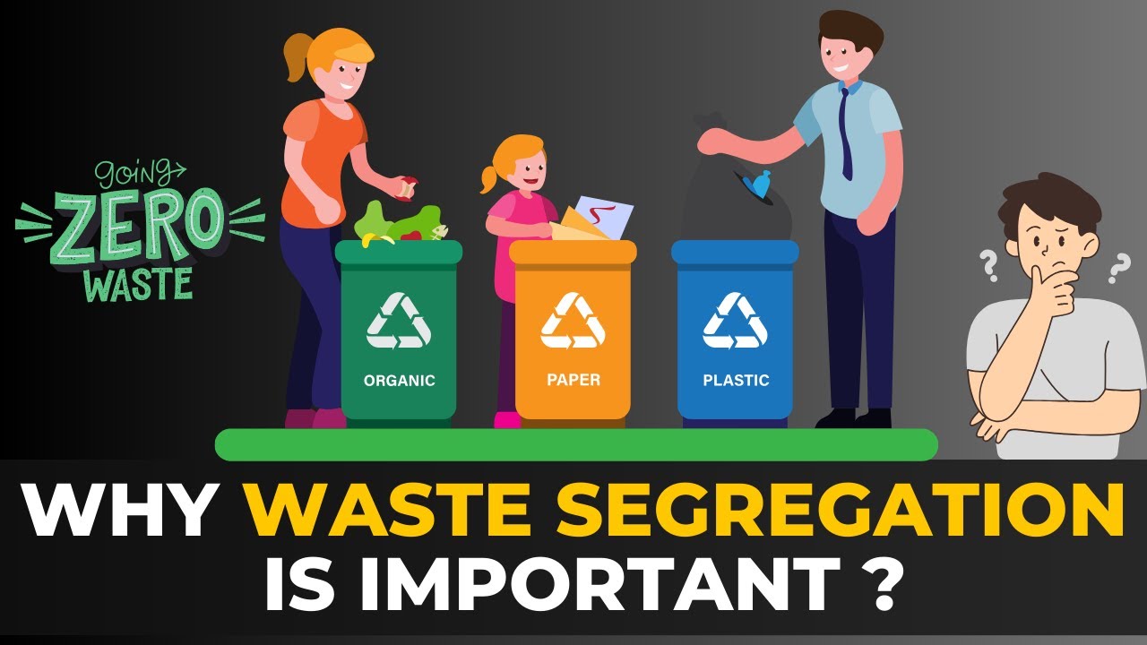 The Crucial Role of Waste Segregation in Environmental Protection ...