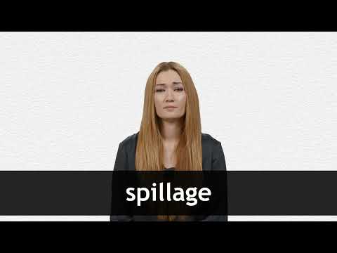 SPILLAGE definition and meaning | Collins English Dictionary