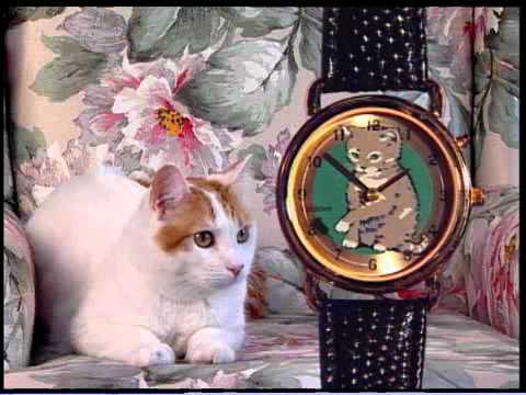 Kitty Kat Watch WMV 480p 4x3
