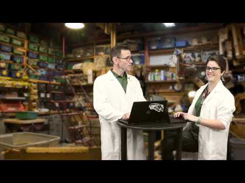 TechBusters: Smart Learning Suite Online