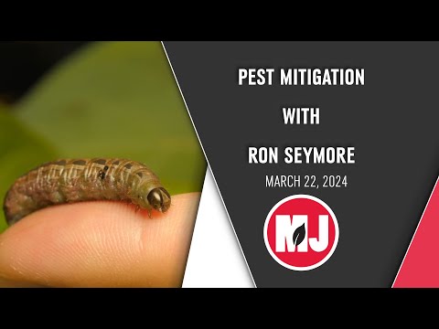 Crop Talk | Ron Seymor | March 22, 2024