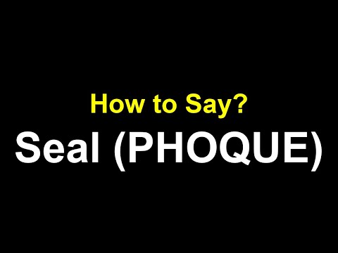 How to Pronounce Seal PHOQUE Episode 1312
