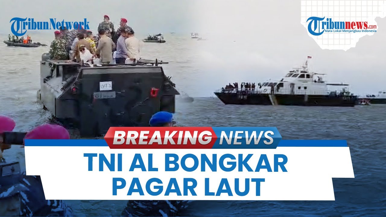BREAKING NEWS [PORTRAIT]: TNI AL Bongkar Pagar Laut 30 KM, Kerahkan Alutsista & 300 Kapal ...