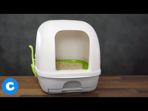 Tidy Cats Breeze | Chewy