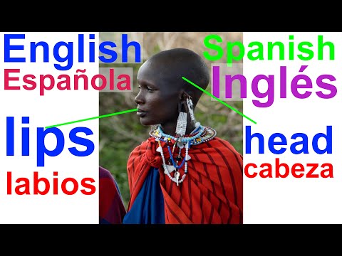 English Spanish Inglés Español, Learn Languages, Visual Dictionary, Diccionario Visual - Lesson1 vd4