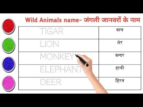 Animals That Start with Letter R| Learn Animal Names |EnglishVocabulary for Kids